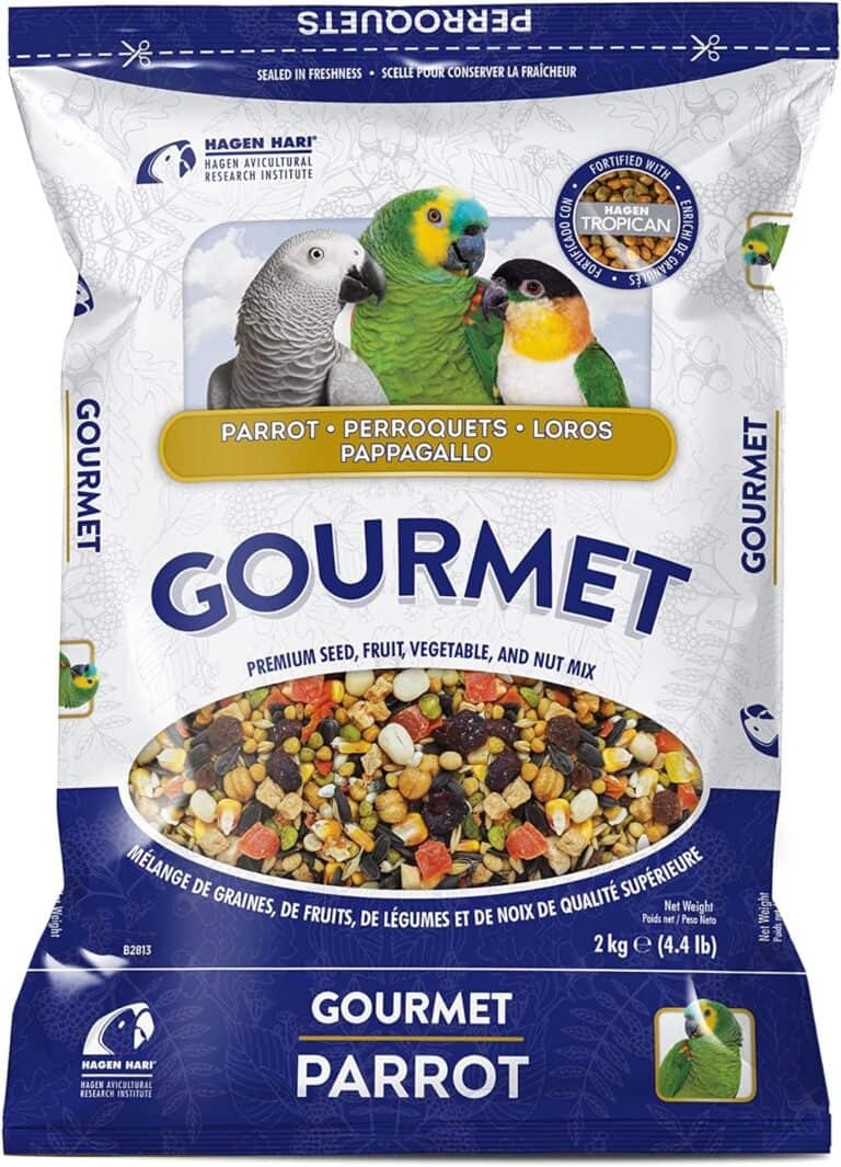 Best Food For African Greys (African Greys Diet Food)