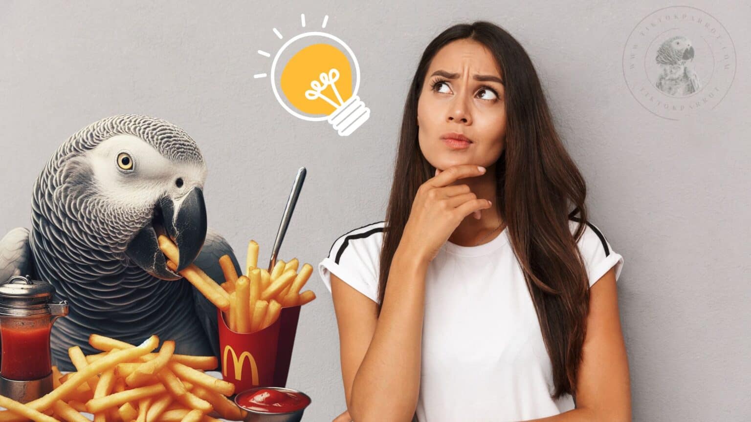 Can Parrots Actually Eat French Fries? (Spoiler Alert)