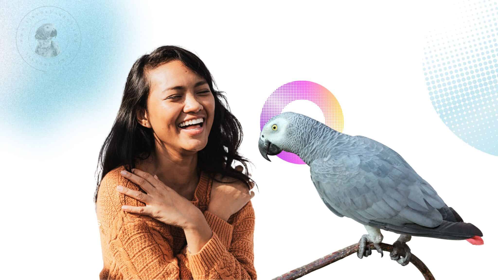 Teaching Your African Grey Parrot to Talk - by TikTok Parrot