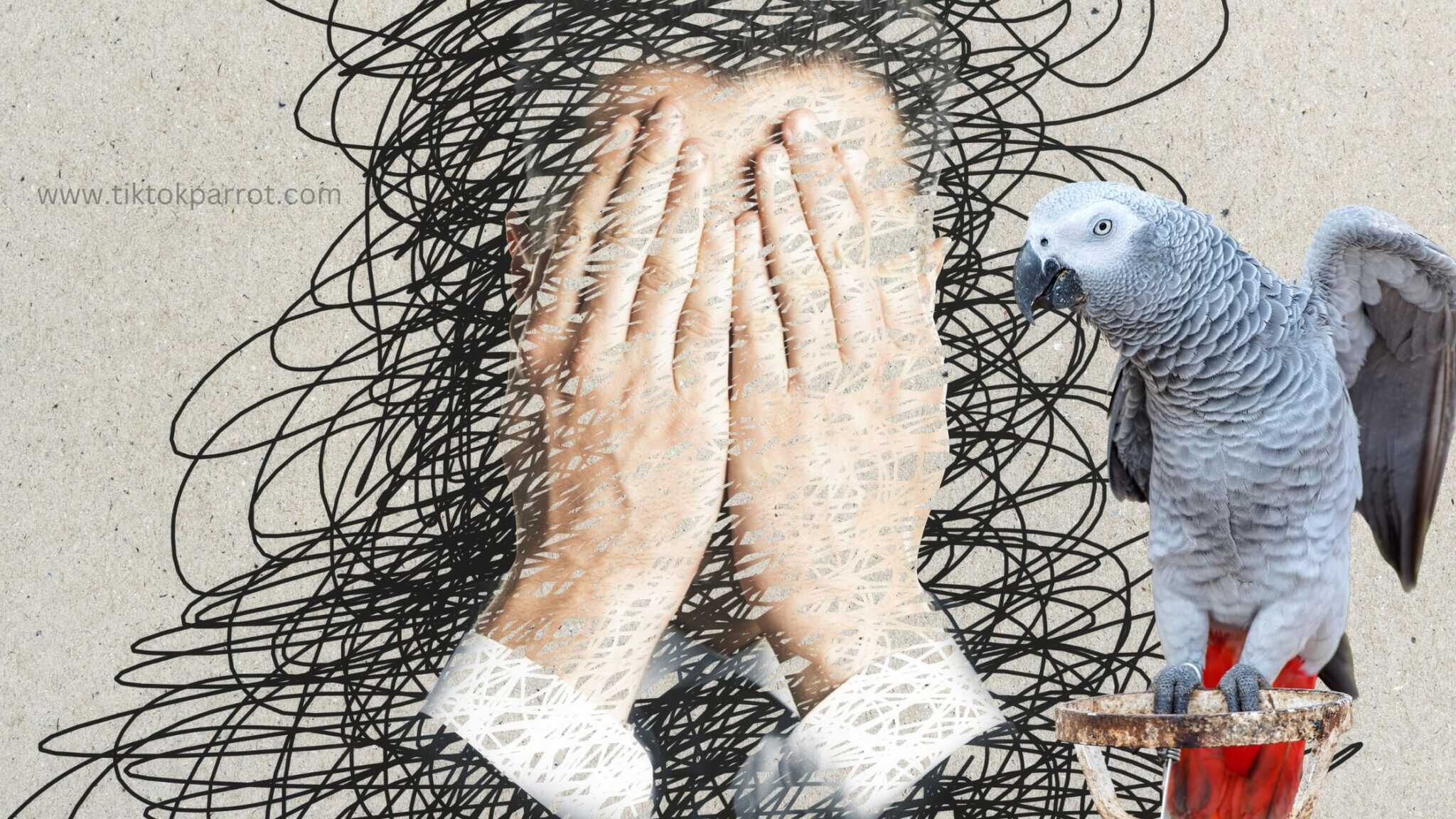 The Cognitive Benefits of African Grey Parrots as Therapy Birds